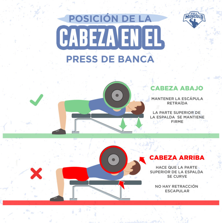 Cómo hacer Press de banca para pecho? (Guía definitiva) • FullMusculo